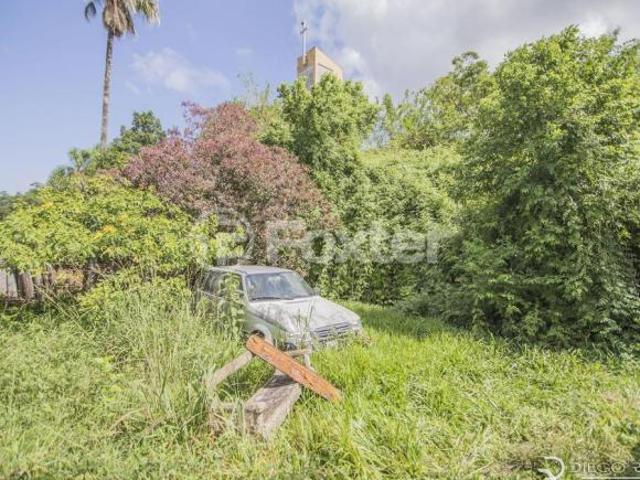 Casa, 3 dormitórios, 200 m², em Tristeza