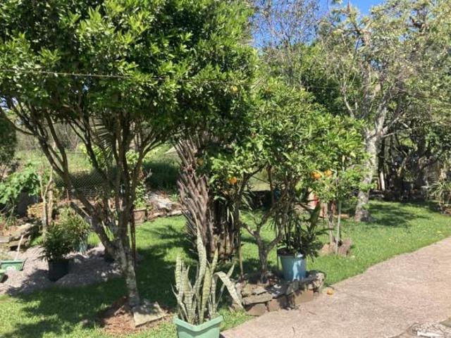 Casa 3 Dormitórios Bairro São Lucas