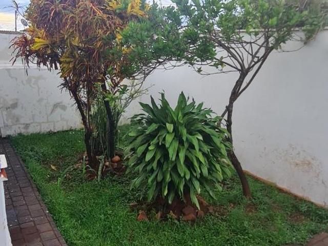 Casa 3 quartos sendo 1 suíte no Bairro Osvaldo Rezende