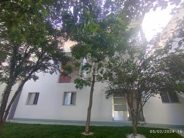 Casa 5 quartos à venda no a Vila Albertina