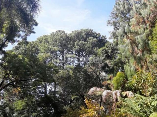 Casa, 7 dormitórios, 465 m², em Vila Luiza