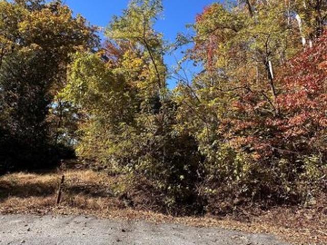 Cascada Vista Dr, Chimney Rock, NC 28720