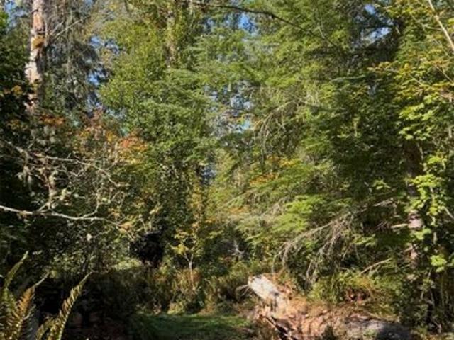 Cascade Ln, Eatonville, WA 98328