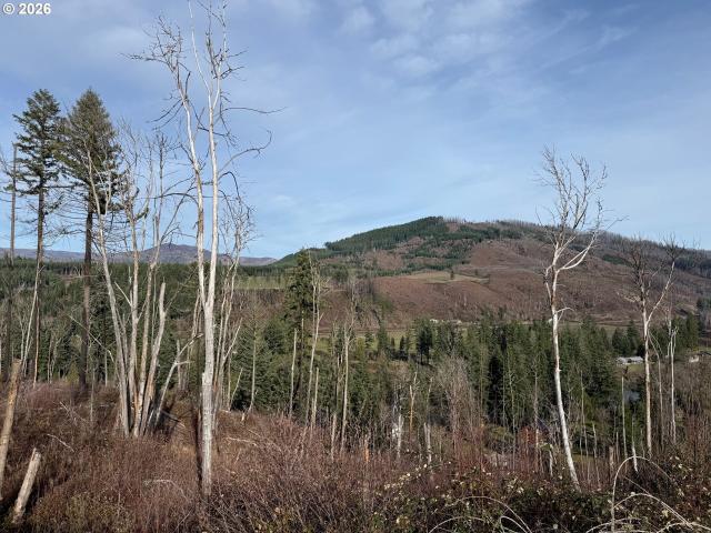 Cascade View # 1