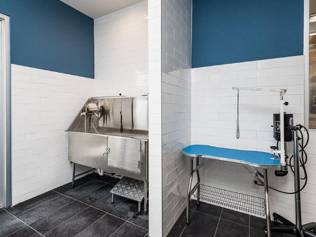Cascades at Northlake Apartments 2 Bedroom Apartment for Rent at 8700 Long Creek Club Dr, Charlotte, NC 28216 Wedgewood