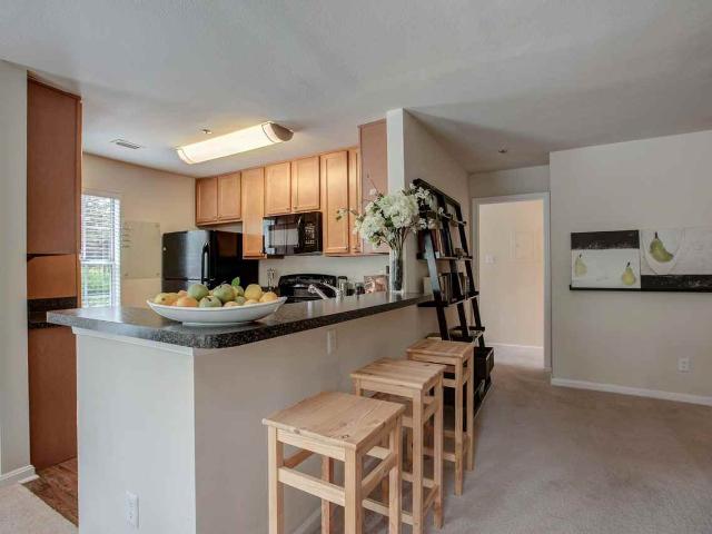 Cascades Overlook 1 Bedroom Apartment for Rent at 20803 Wallingford Sq, Cascades, VA 20165 Potomac Lakes