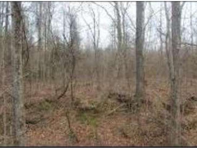 Cascilla, MS Tallahatchie Country Land 10.0000 acre for sale in Cascilla, Mississippi