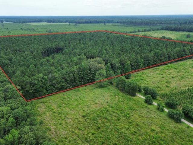 Casey Rd, Pine Bluff, AR 71603