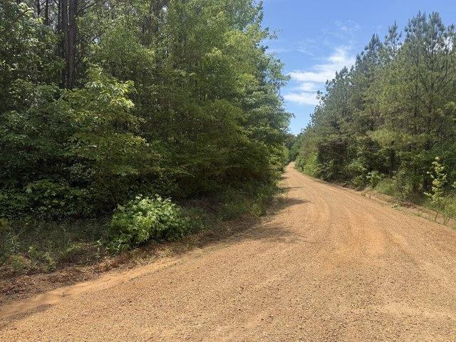 Cash Cir Lot 2, Millport, AL 35576