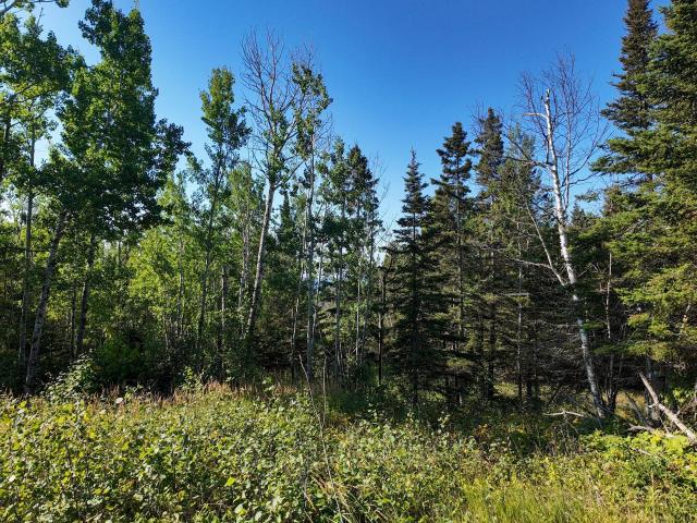 Casper's Hill Road
