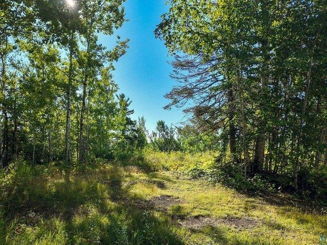 Caspers Hill Rd, Grand Marais, MN 55604