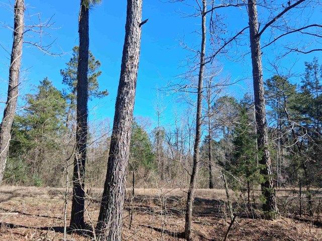 Cass County Road 1581, Avinger, TX 75630