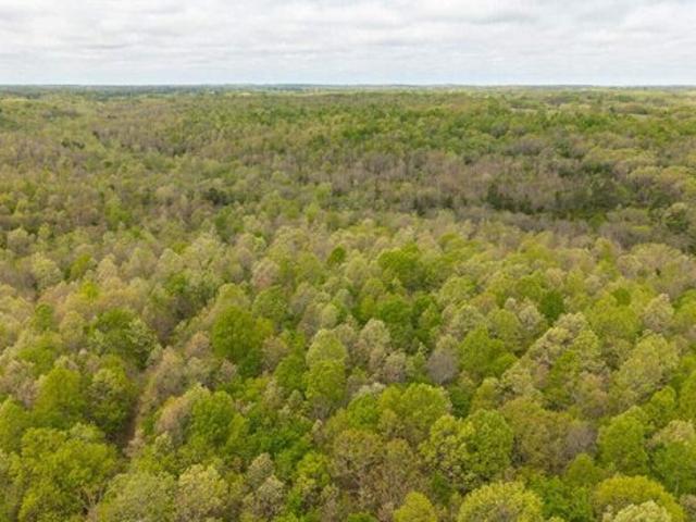 Cass Rd, Hartville, MO 65667
