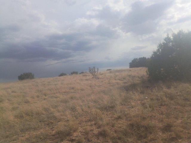 Cassandra Ct Lot 48A, Moriarty, NM 87035