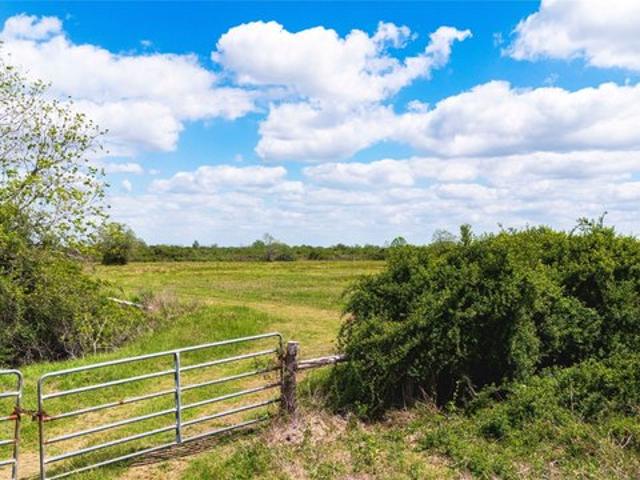 Cassady Tract Rd # 1, East Bernard, TX 77435