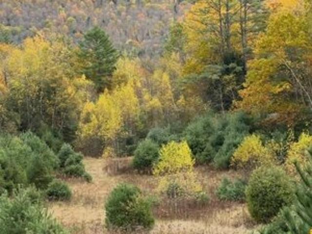 Catterall Rd Lot,lisbon, Plot For Sale