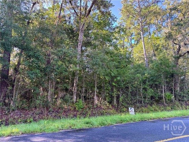 Cattle Hammock Rd, Midway, GA 31320