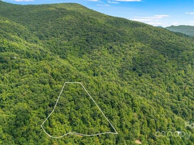 Cat Pen Branch Rd Lot,hot Springs, Plot For Sale