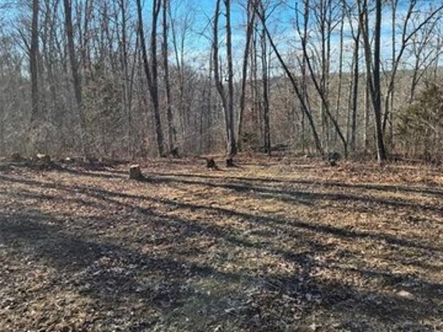 Catawba Dr, De Soto, MO 63020