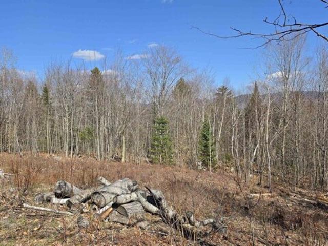 Cates Hill Rd, Berlin, Plot For Sale