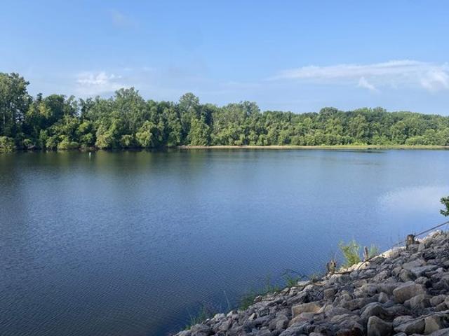 Catfish Ln Lot 9, Crump, TN 38327