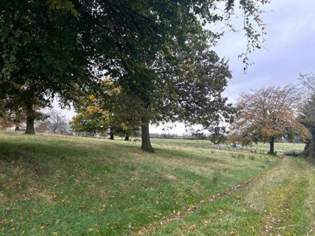 Catherton Common, Clee Hill, Equestrian Facility For