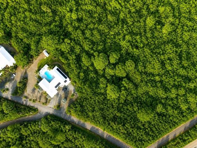Catherines Hope Eb, Saint Croix, Plot For Sale