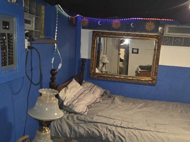 Cats room