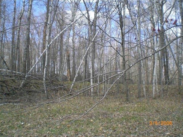 Catskill Cir Lot 211, Breezy Point, MN 56472