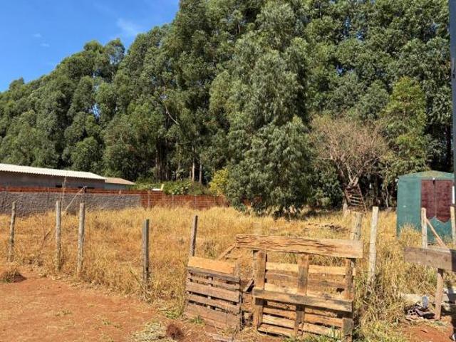 CAUB I Riacho Fundo II Lote 1000 m2 R$ 200 mil Aceito Carro