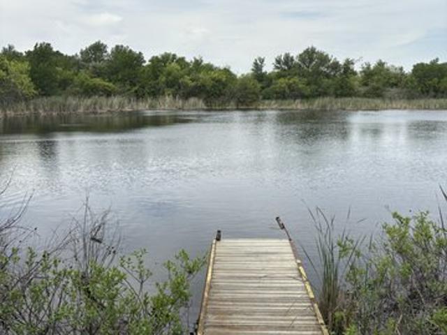 Causeway Rd, Jacksboro, TX 76458