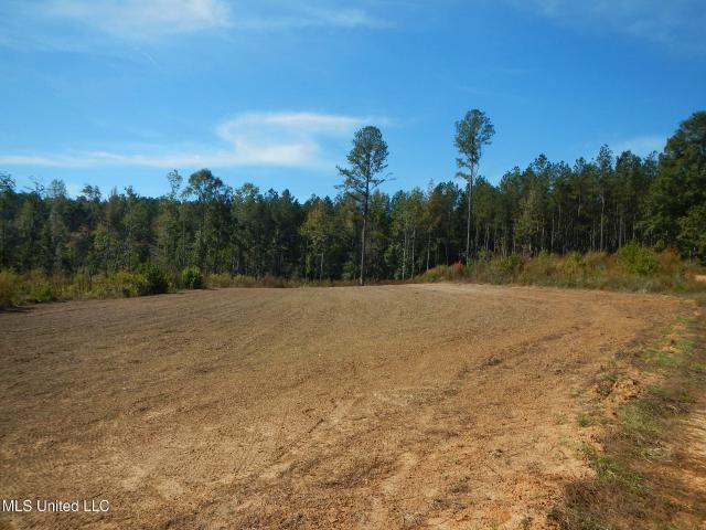Causeyville Road, Meridian, MS 39301