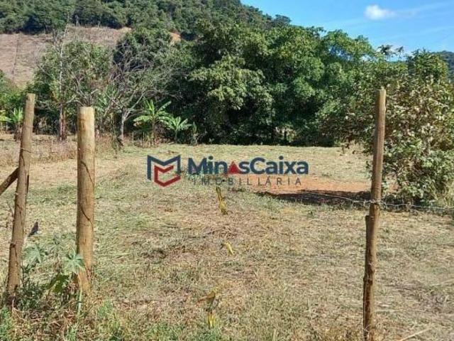 Cava Grande Lote