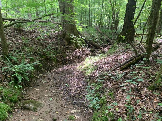 Cave hollow ln