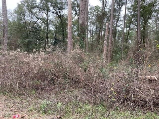Cayuse Dr Unit 3, Crawfordville, FL 32327