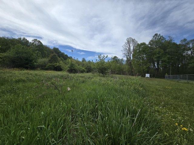 Cemetery Rd, CharmcO, WV 25958