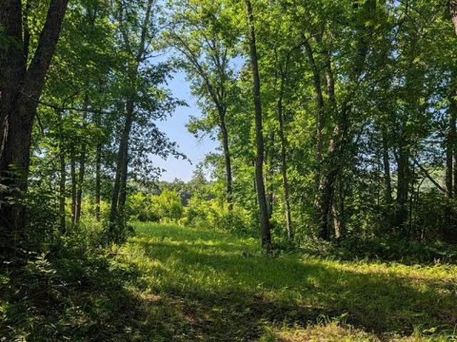 Cemetery Rd, Orr, MN 55771