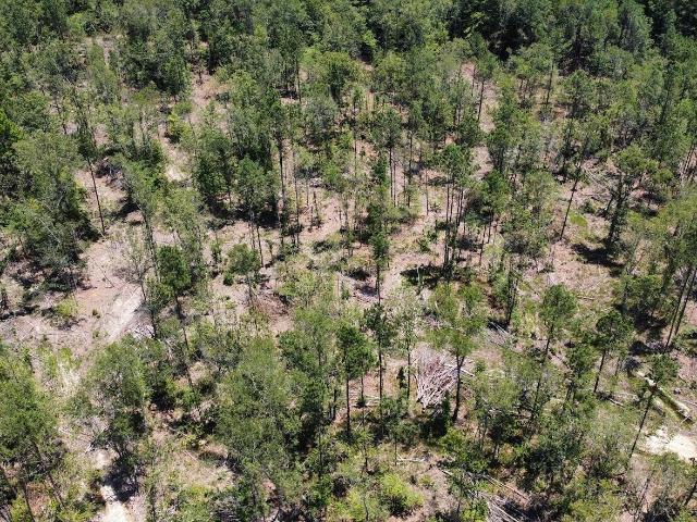 Center 16.9 ac on hwy 82 e
