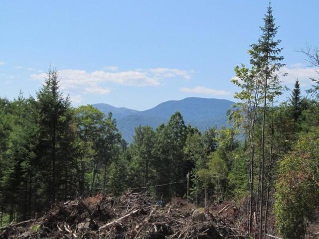 Center Hill Rd, Weld, Plot For Sale