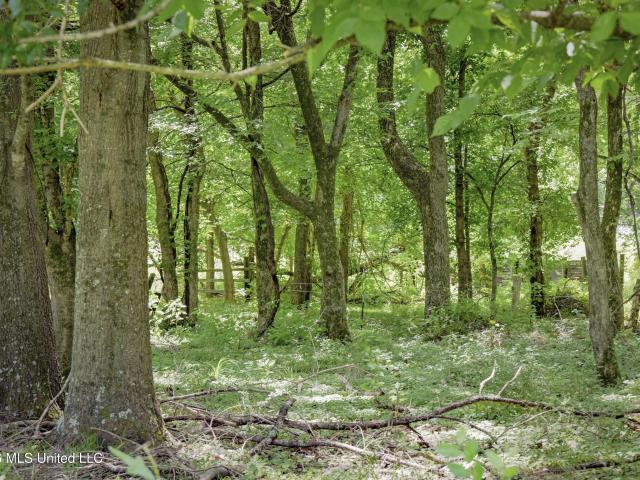 Center Hill Road, Olive Branch, MS 38654