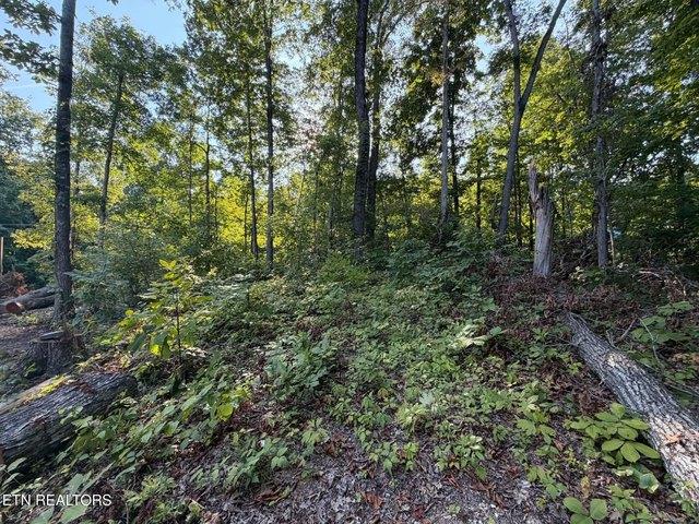 Center Ln, New Tazewell, TN 37825