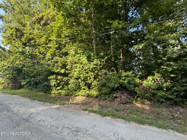 Center Lane, New Tazewell, TN 37825