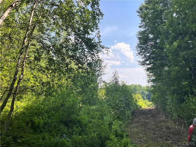Center Road