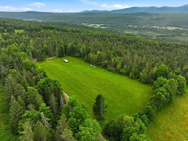 Center Rd Lot,albany, Plot For Sale