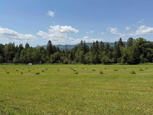 Center Rd Lot,albany, Plot For Sale