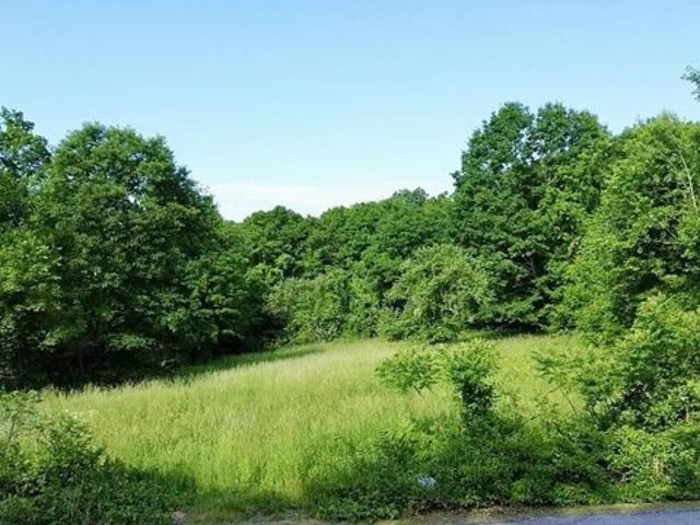 Center Rd, Lyndeborough, Plot For Sale
