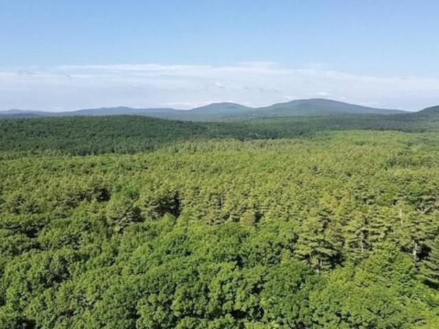 Center Rd, Lyndeborough, Plot For Sale