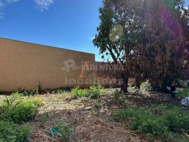Centro Bady Bassit terreno com 700 metros