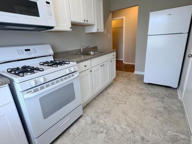 Central Ave 127 3 Bedroom Apartment for Rent at 127 N Central Ave, Chicago, IL 60644 Austin