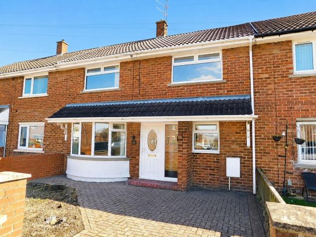 Central Drive, Spennymoor, County Durham DL16, 3 bed terraced house to rent, £695 pcm | PrimeLocation